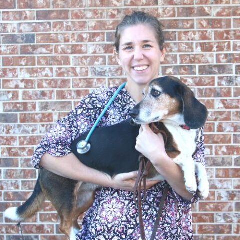 Veterinarian In Rolling Meadows, IL 60008 | Arlington Park Veterinary ...